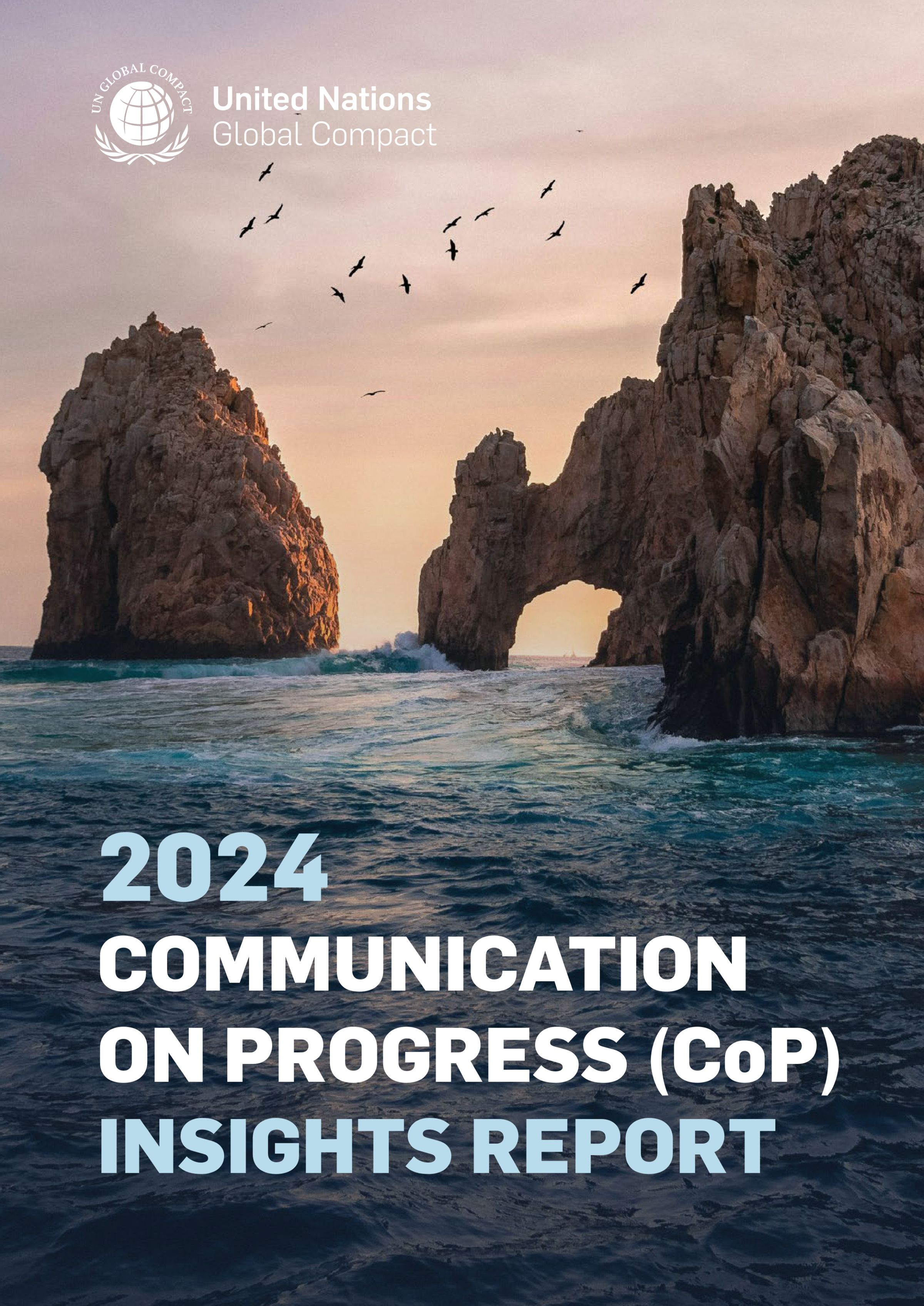2024 CoP Data Insights Report | Global Compact Network Kenya
